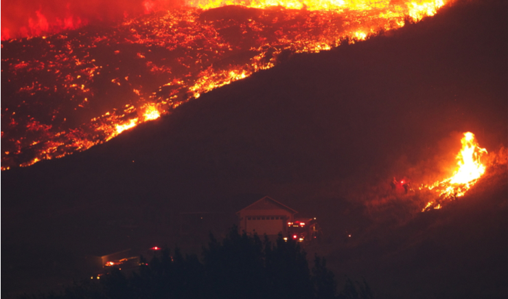 Wildfire: Prepare for the Flames