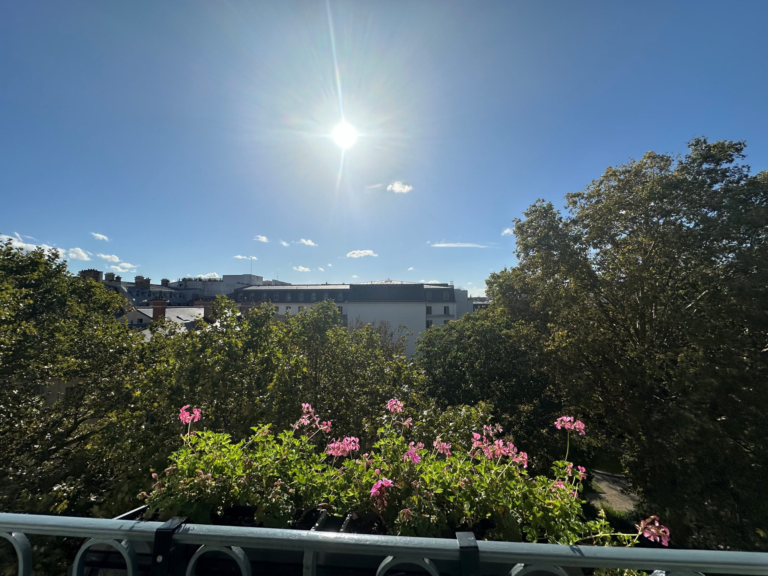 October RAGE Gauge: Paris, Guns, Gold, LVMH, and YOU